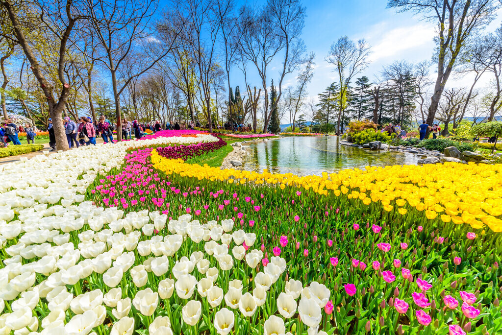 The Great Tulip festivals in Turkey – Best Time, How to Reach & Things ...
